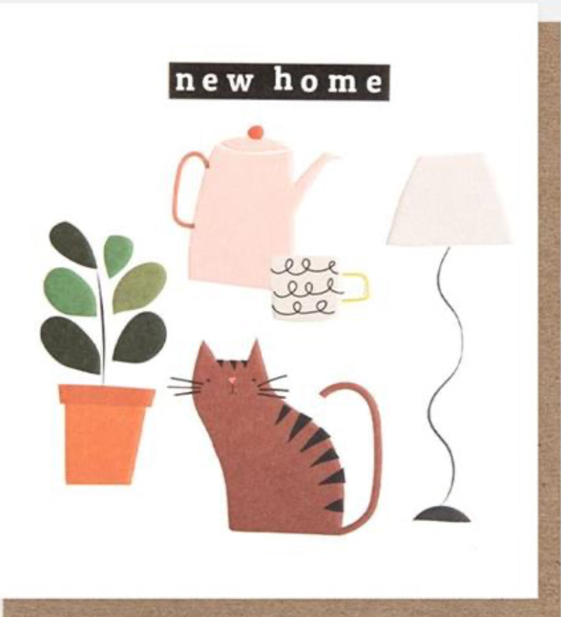New Home Cat & Plant 'Dynamo' – Everyone's Designs