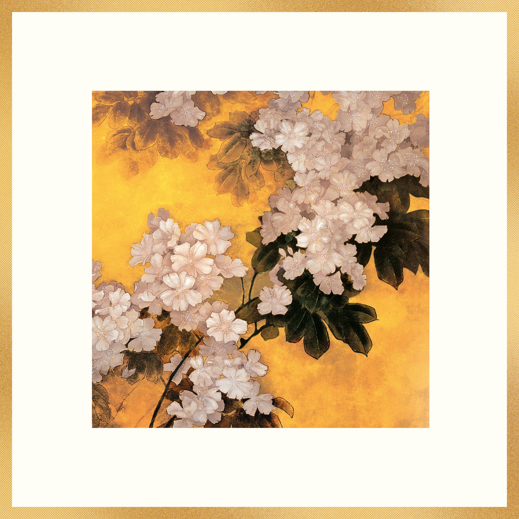 White Flowers ‘Fox & Butler’ – Everyone's Designs