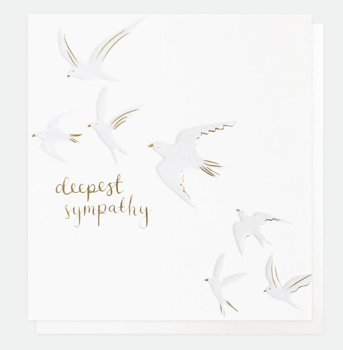 Deepest Sympathy Doves – Everyone's Designs