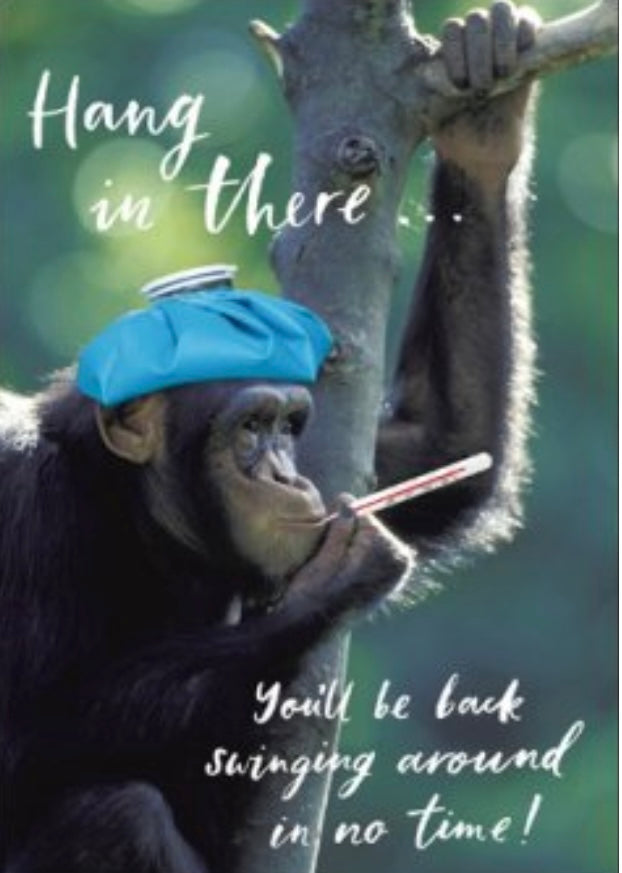 Get Well Monkey – Everyone's Designs